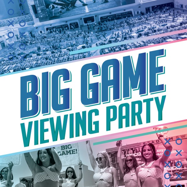 Las Vegas Super Bowl Parties - Sin City VIP